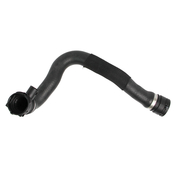 BMW Radiator Hose Lower - OEM Rein 11537505229 | FCP Euro