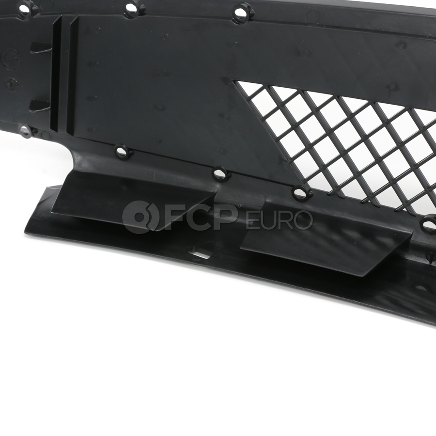 BMW Grid Centre (Z4) - Genuine BMW 51117016061 | FCP Euro