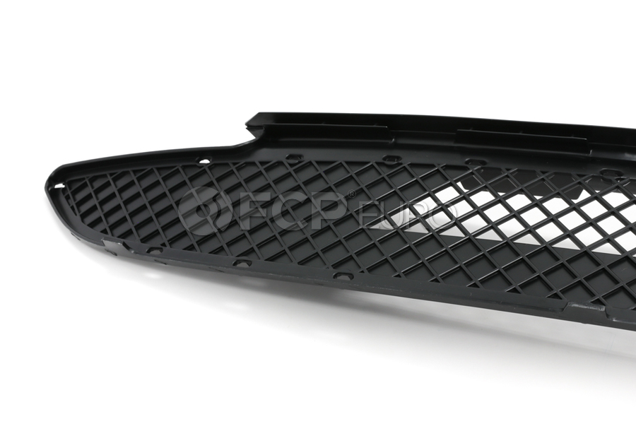 BMW Grid Centre (Z4) - Genuine BMW 51117016061 | FCP Euro