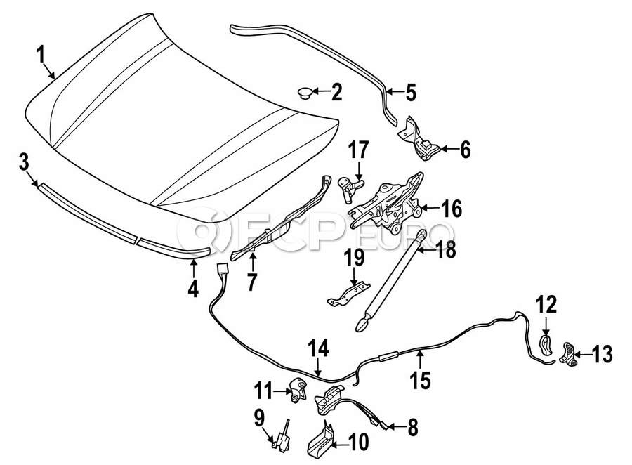BMW Hood Seal - Genuine BMW 51765A04E72 | FCP Euro