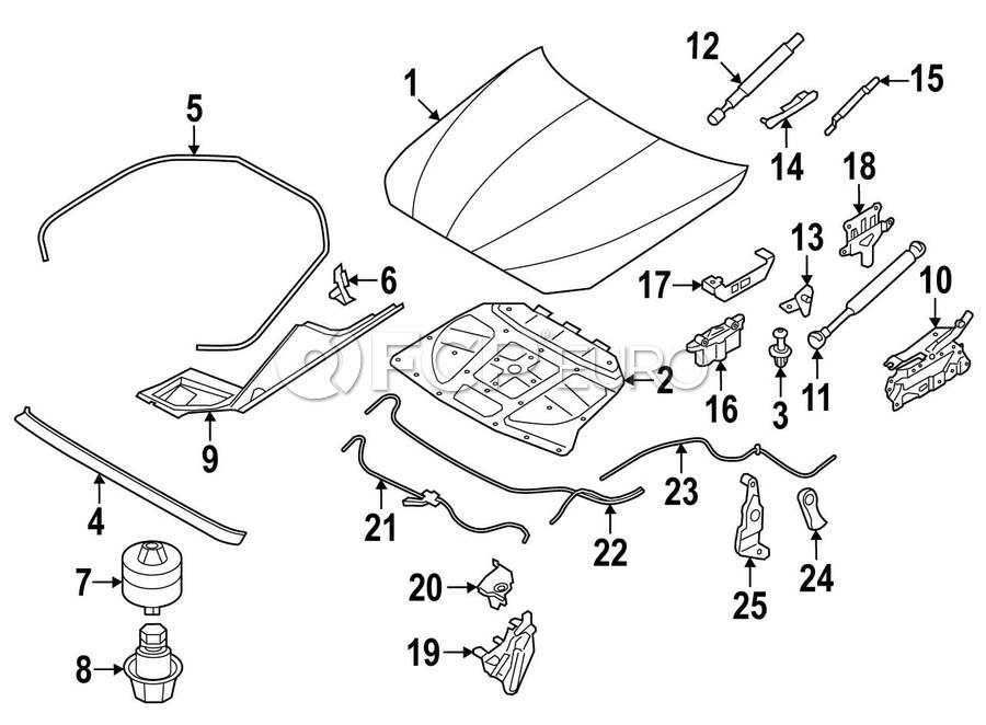 BMW Hood Hinge - Genuine BMW 41617207200 | FCP Euro
