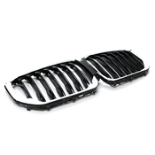 BMW Grille Parts | FCP Euro